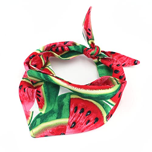 Red Watermelon Dog Bandana, Summer Bandana