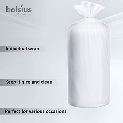 BOLSIUS 10 White Pillar Candles - 2.25 x 4.75 Inches - Premium European Quality - Individually Wrapped - 33 Hours Burn Time - Dripless Smokeless Unscented Dinner, Wedding, Party, & Restaurant Candles