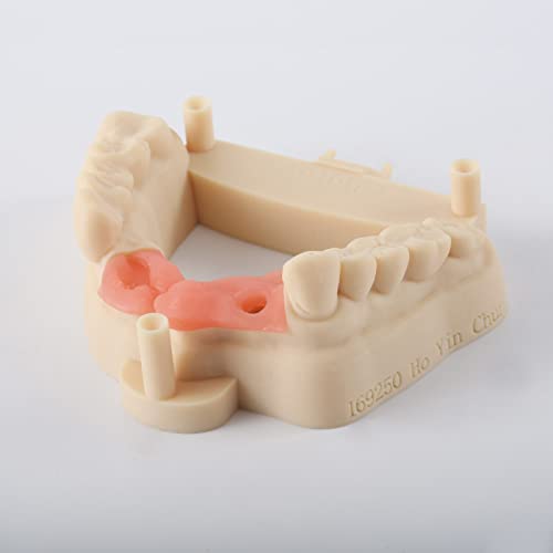 RESIONE 3D Printer Resin, D01S Dental Model Resin for Restoration Implant Study Models High Dimensional Accuracy with Not Warped and Very Low Shrinkage for LCD DLP MSLA 3D Printing