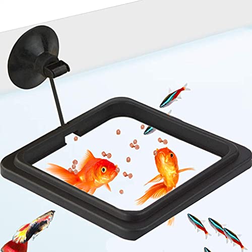 SunGrow Fish Food Feeding Ring, Stop Water Turbulence from Washing Food & Floating Plants into Filter, Suitable for Flakes & Floating Fish Pellets, for Goldfish, Guppy, Neon Tetra, Betta