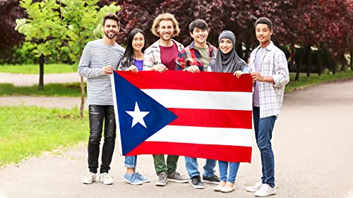 DANF Puerto Rico Flag 3x5 Foot Polyester Puerto Rican National Flags Polyester with Brass Grommets 3 X 5 Ft