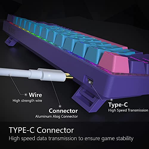 BOYI 61 Mini Mechanical Keyboard, Mini RGB PBT Keycap Cherry MX Switch 60% Compact RGB Mechanical Gaming Keyboard (Cherry MX Silent Red Switch, Joger Color)