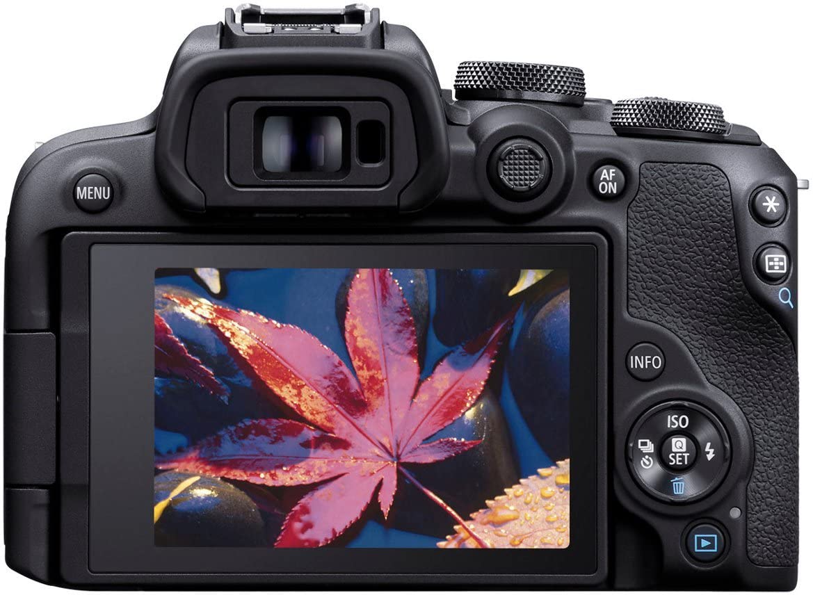 Canon EOS R10 Mirrorless Camera (Body Only) Enhanced with Professional Accessory Bundle - Includes 14 Items