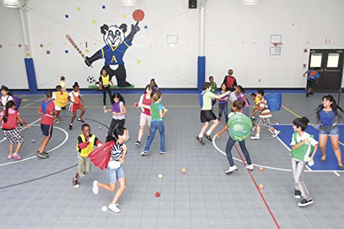 Sportime 6-Team Pursuit Ball Game, Set of 6 Goals and 72 Balls
