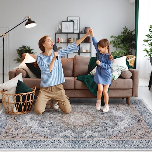 Rugs for Living Room 8x10 Area Rugs: Large Rug Machine Washable with Non-Slip Backing Non-Shedding Stain Resistant, Boho Carpet for Bedroom Dining Room Nursery Home Office Indoor Decor (Blue/Brown)