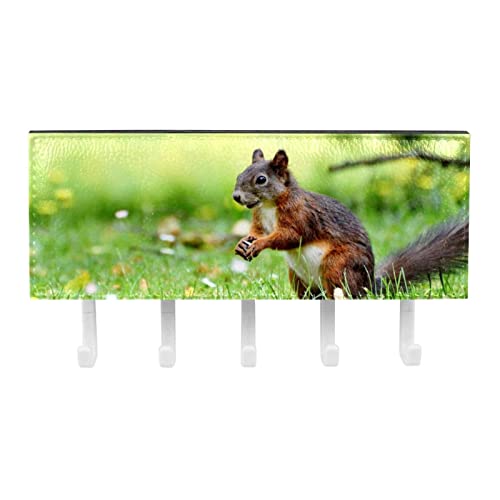 Cute Squirrel Mail Holder Organizer and Key Hooks PU Front, Self Adhesive Key Rack with 5 Hooks Perfect for Entryway, Hallway,Bathroom ,Kitchen
