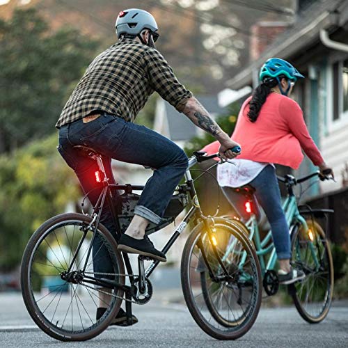 Blackburn Luminate 360 Light Set (Black, One Size) (Discontinued)