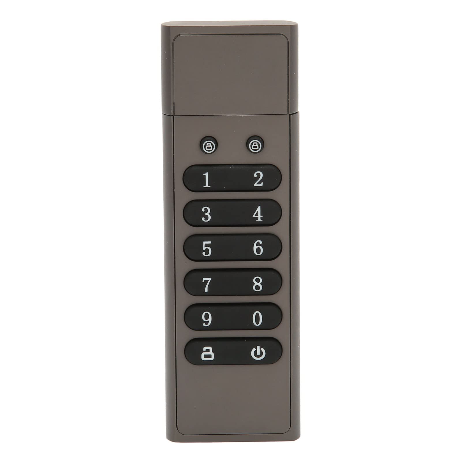 Encrypted USB Drive, Quick Password Flash Drive, Auto Lock Key USB Flash Drive for Research and Development Institutions for Government Financial Purposes (128GB)