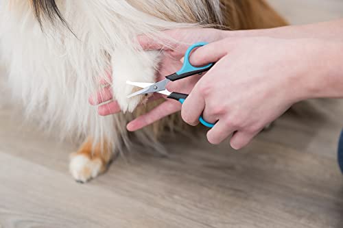 TRIXIE Pet Grooming Scissors, For Dogs and Cats, Pet Face, Nose, Ears, and Paw Hair, Round Tip, 3" ( 8cm)