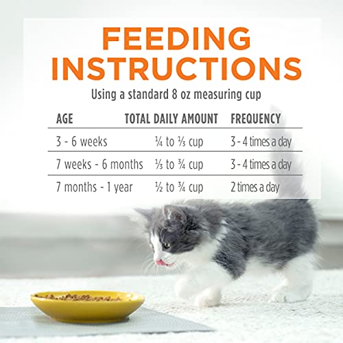 Purina Kitten Chow Dry Kitten Food, Nurture Muscle + Brain Development - 14 lb. Bag