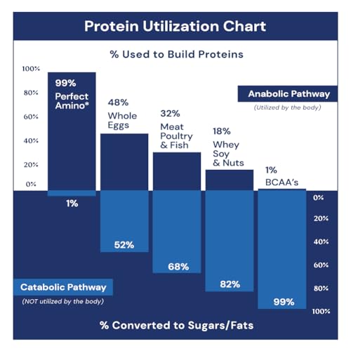 BodyHealth PerfectAmino (300 Tablets) 8 Essential Amino Acids Supplements with BCAA, Increase Muscle Recovery, Boost Energy & Stamina, 99% Utilization, Vegan Branched Chain Protein Pre/Post Workout
