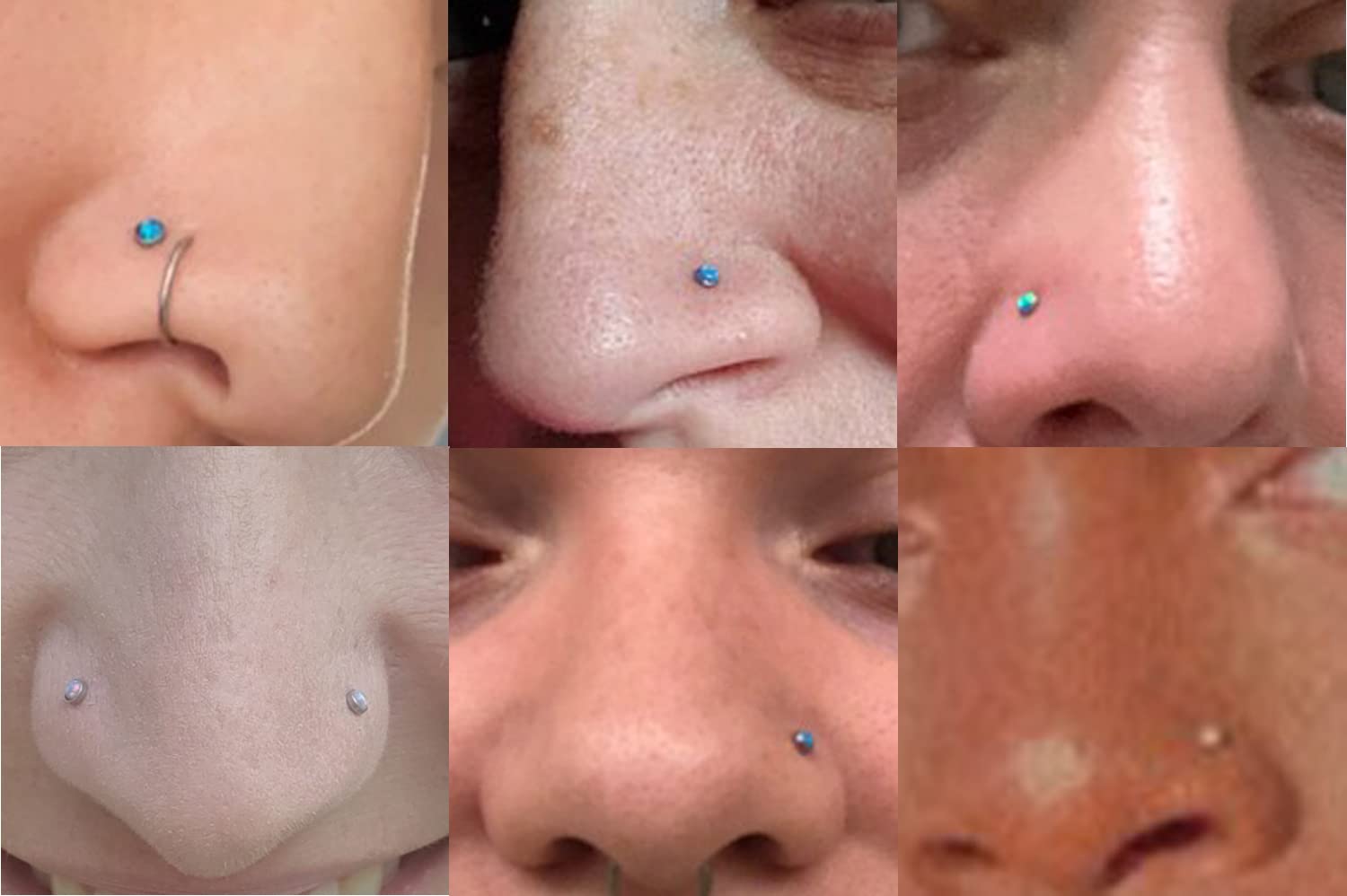 Berry Merry Craft BMC 4pcs Set 316L Surgical Steel L Bend Opal Nose Rings 20G Green, White, Purple, Blue (4pcs Stud)