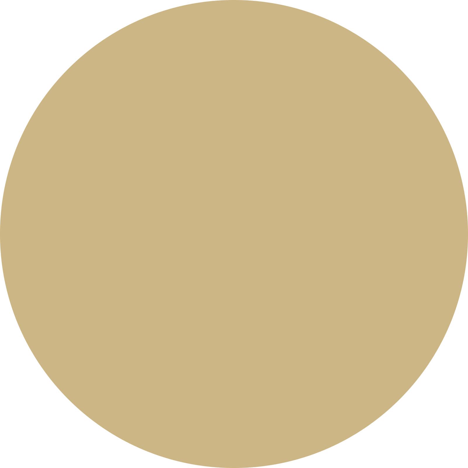 otoez Headliner Fabric Material with 1/8" Foam Backing 60" x 2 Yard DIY Headliner Fabric for Automotive Home Replacement Repair, 2 Yard 3 Yard 5 Yard 10 Yard Long (Beige)
