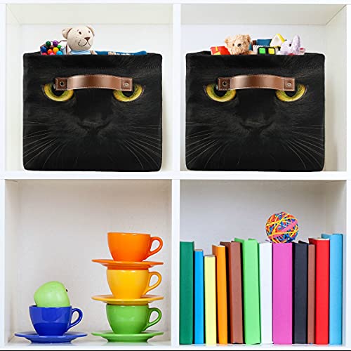 TropicalLife Rectangular Storage Bin Cube Funny Animal Black Cat Foldable Organizer Basket with Handles, Collapsible Storage Box for Kids Toy Shelf Closet Nursery