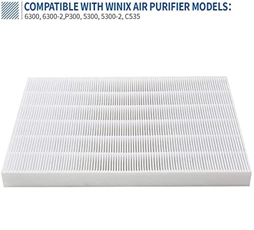 Gazeer 2 True HEPA Filter Replacement Filter A and 8 Carbon Pre Filters Set Compatible with Winix 115115 PlasmaWave Size 21. Fits Model WAC5300, WAC5500, WAC6300, 5000, 5000b, 5300, 5500-2, P300, C535