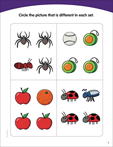 Little Skill Seekers: Basic Concepts