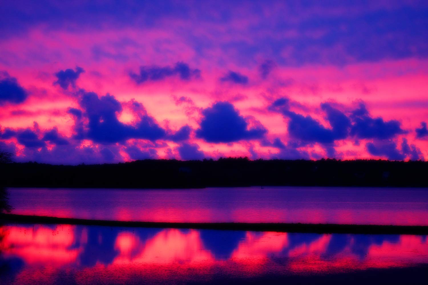 Buyartforless Cranberry Bog Sunset by Jobe Waters 36x24 Graphic Art Photography Canvas, Purple