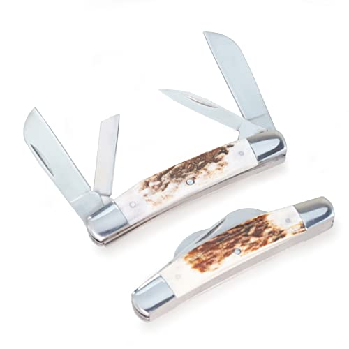 DIAMOON Small Folding Pocket Knife Tools 3.6β Medium Congress Classic Traditional Stag Handles with 4x 420 Stainless Blades, gift for dad, knife collectors