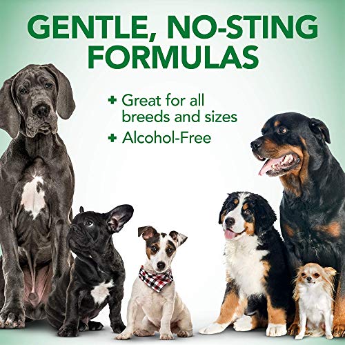 Vet's Best Allergy Itch Relief Spray for Dogs | Soothes Dog Dry Skin | Relieves The Urge to Itch, Lick, and Scratch | 8 Ounces