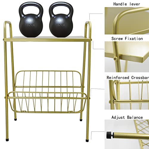 Jbikao Side Table, Gold End Table with Magazine Holder, Record Player Stand with Storage, Bedside Table Nightstand for Living Room, Bedroom, Office, Metal