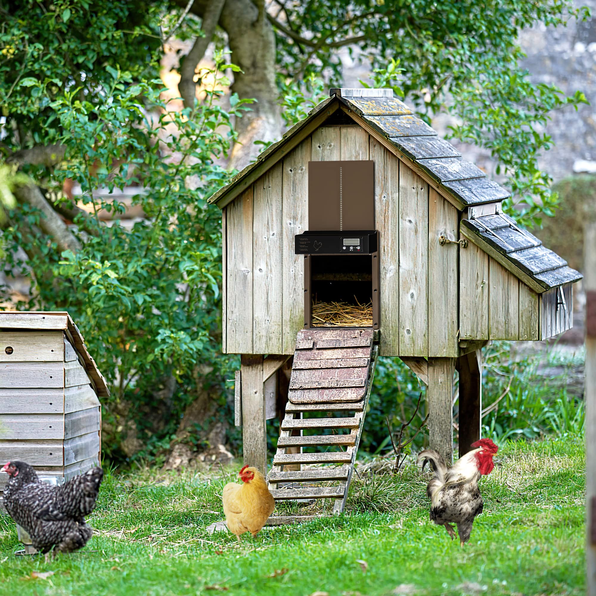 CODESFIR Automatic Chicken Coop Door Opener with Timer Remote Control Programmable Light Sensor, Battery Powered Auto Chicken Door with LCD Screen, Evening and Morning Delay, Aluminum Door