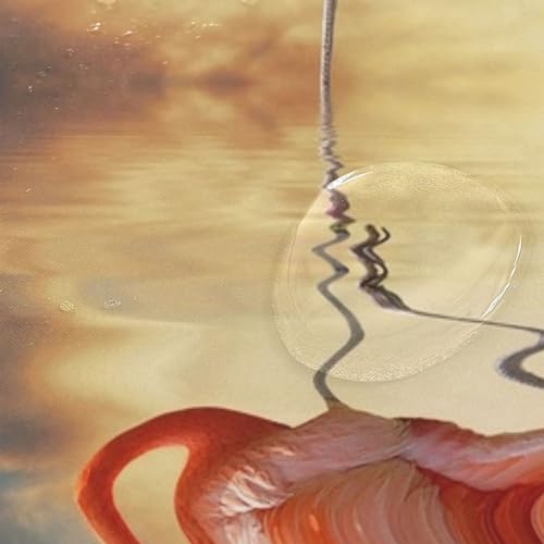 BLuevi Sea Surface Flamingos Shower Curtain for Bathroom Waterproof Fabric with Hooks 72x72 Inch