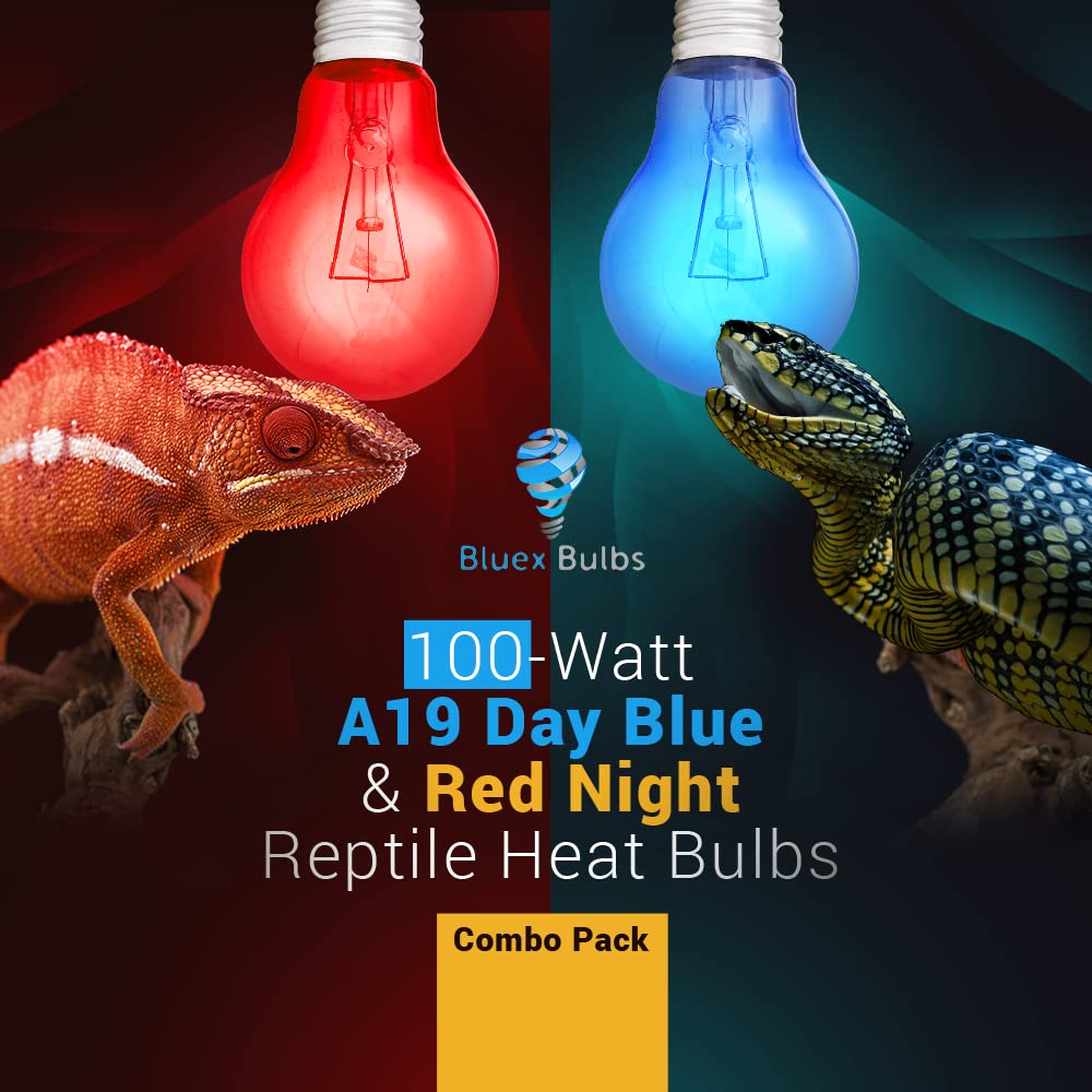 Bluex Bulbs 4 Pack A19 Day Blue & Red Night Reptile Heat Bulb Combo Pack 60W - Terrarium Light & Heat Source Replicates Day Night Environment Promotes Natural Behavior Reptile Day and Night Heat Lamp