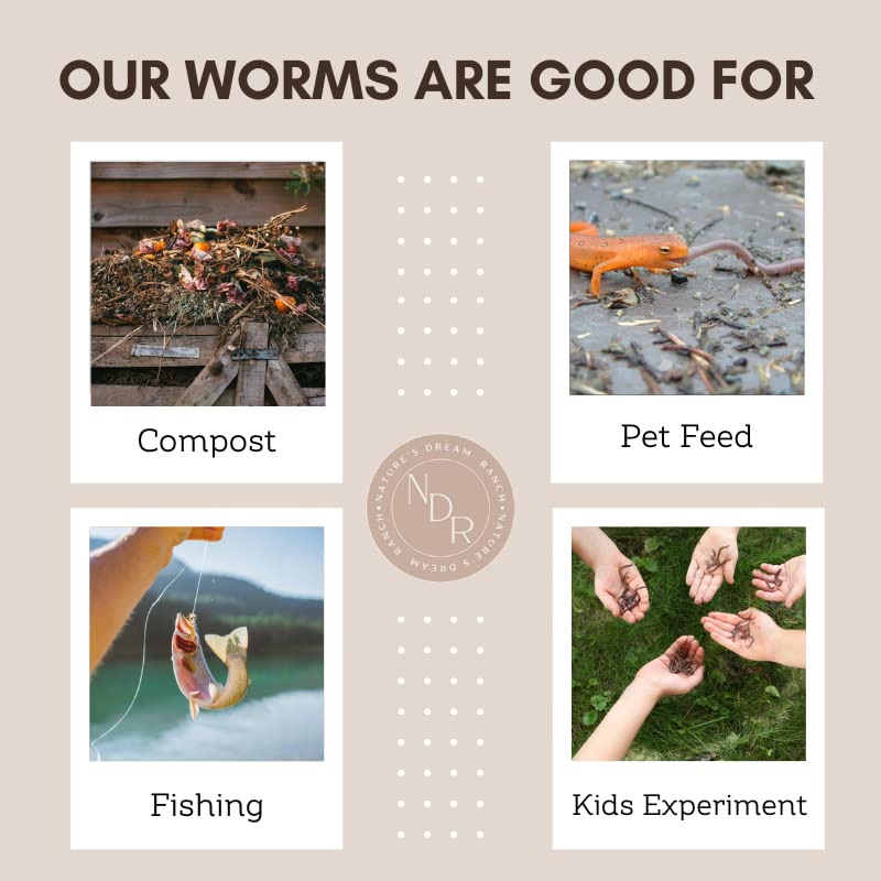 Nature's Dream Ranch 150 Count Live Red Wiggler Earthworms Vermicomposting Garden Red Wrigglers - Farm Composting, EW001-150A 0