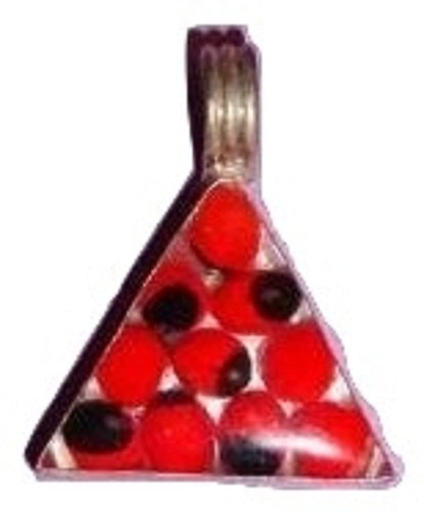Beautiful Peruvian Triangle Huayruro Seeds Pendant