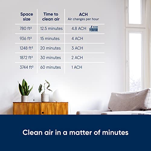 BLUEAIR Pro Air Purifier for Allergies Mold Smoke Dust Removal in Large Office Spaces Homes and Lobbies, Pro L, White