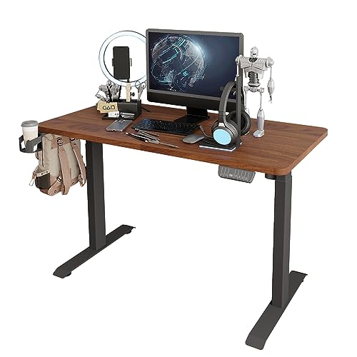 Height Adjustable Electric Standing Desk, Memory Computer Workstation Table, Stand Up Desk with Preset Controller & Headphone Hook, Sit to Stand Desk for Home Office (Single Motor with Desktop)