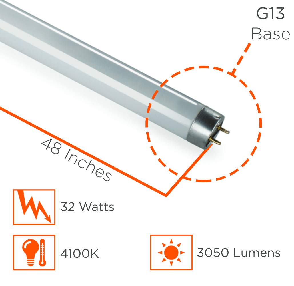 GoodBulb F32T8/841/ECO 32W 48 Inch T8 Fluorescent Light Bulb | 4100K Cool White Light Color, Medium Bi-Pin Base | 3050 Lumens 86 CRI 24000 Life Hours | Instant/Programmed Start | 25 Bulbs Pack