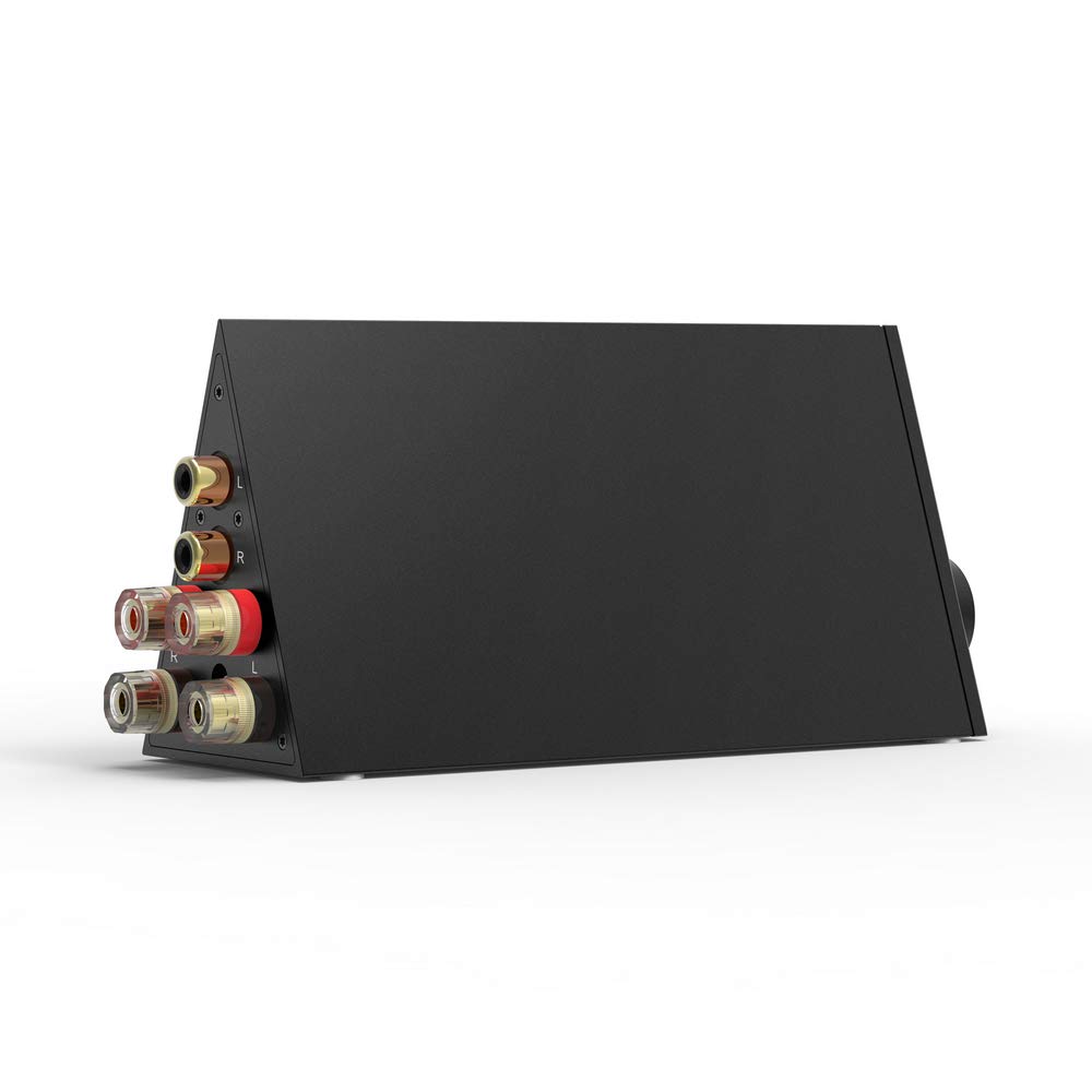 LOXJIE A10 Desktop Stereo Power Amplifier Digital Class-D High-Power Audiophile Level Amp Chip TPA3116 (Black)