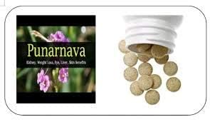 CROW Punarnava Tablet पुनर्नव गोली Purnava Tablet 25 G