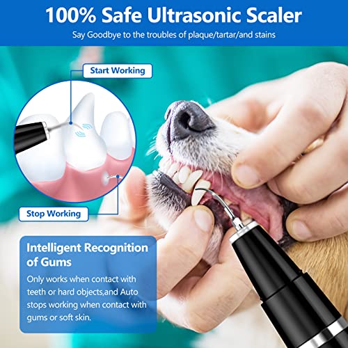 Ni-SHEN Dog Plaque Remover for Teeth,Pet Ultrasonic Tooth Cleaner Toothbrush,Teeth Cleaning Kit -Tartar Remover for Teeth Stains for Dogs and Cats (Black)