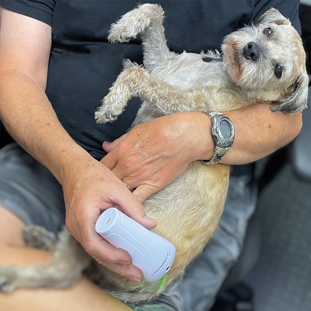 Light Therapy for Dogs and Pets - LED Light Therapy for Pain Relief, Muscle & Joint Pain, Reduce Inflammation, Heal Wounds, & Clear Skin Problems with 2 Therapy Modes.