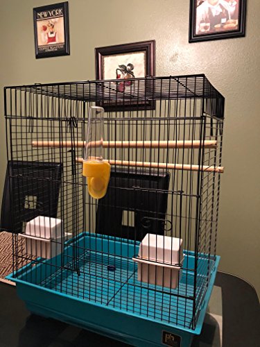 You & Me Square Top Parakeet Cage, 16.5" L X 11.8" W X 22" H