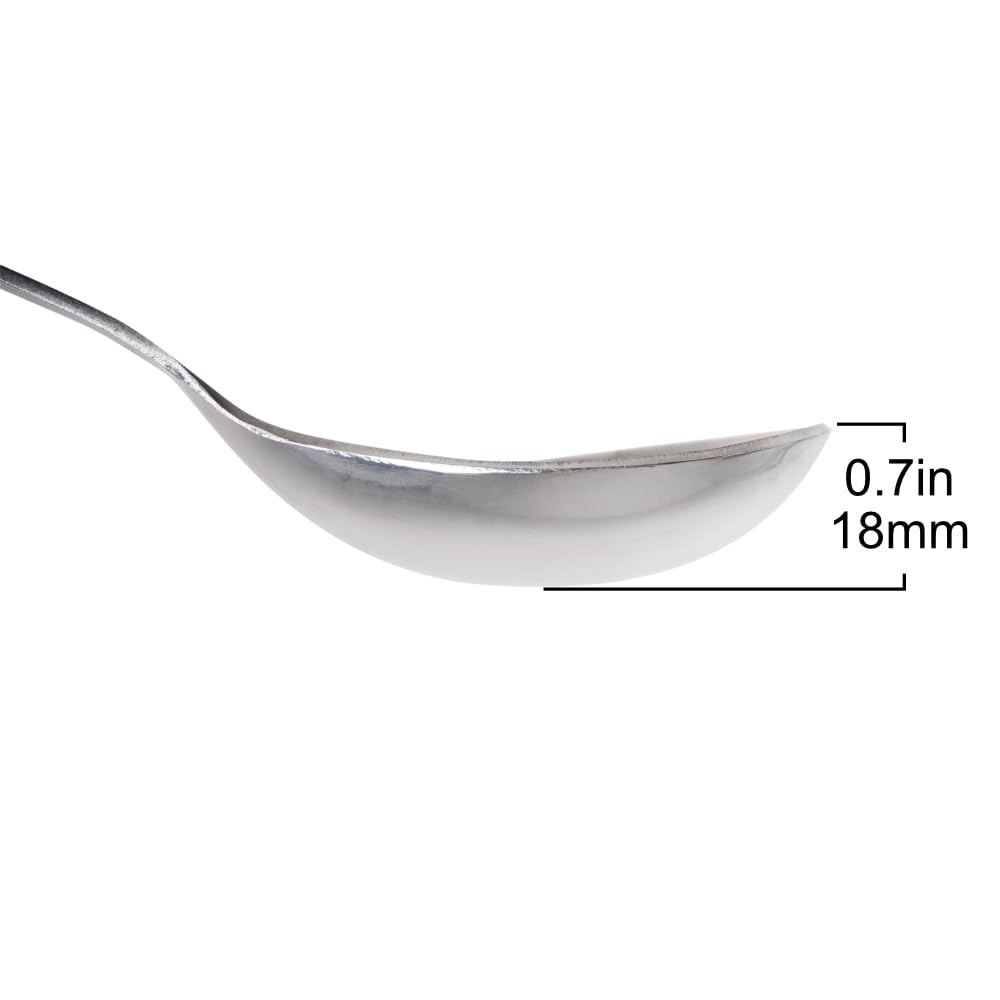 Lindy's Stainless Steel Jar/Serving Spoon, Silver (SC30)