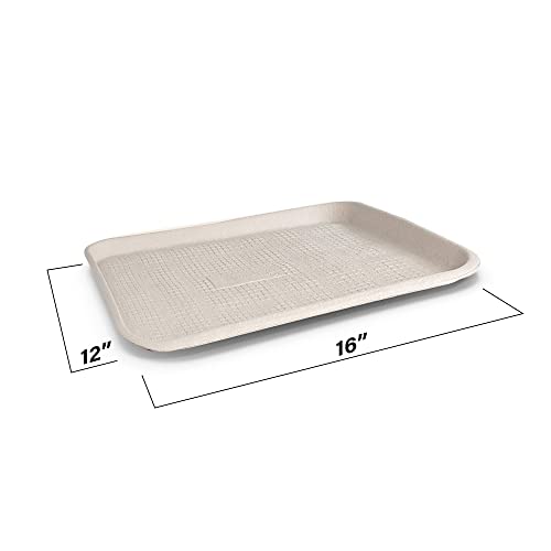 White Rectangular Molded Fiber Pulp Cafeteria Style Food Tray Size of 12βx 16β by MT Products (15 Pieces) - Made in The USA