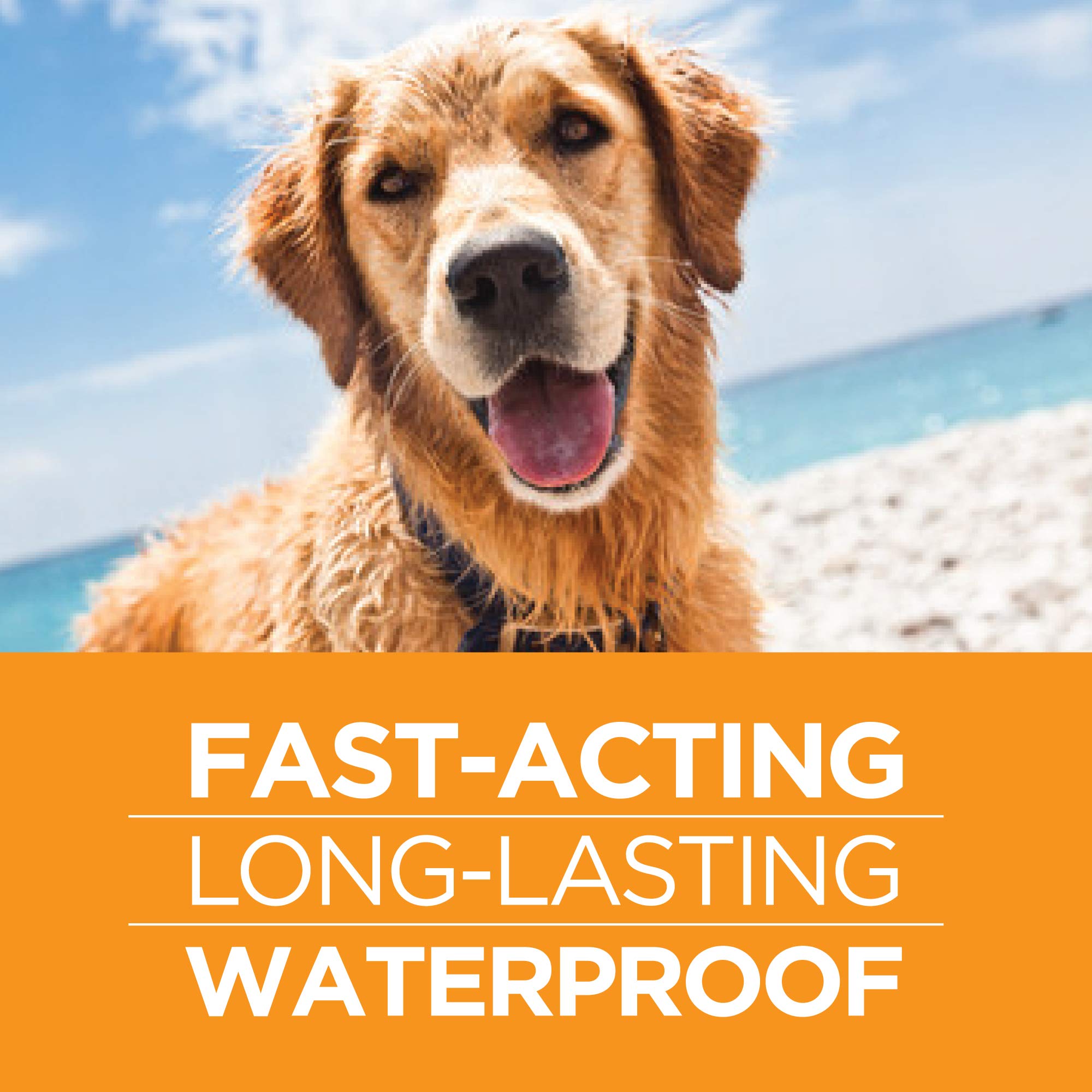 FirstAct Plus Flea Treatment for Dogs, Extra Large Dogs 89+ lbs, 3 Doses, Same Active Ingredients as Frontline Plus Flea and Tick Prevention for Dogs