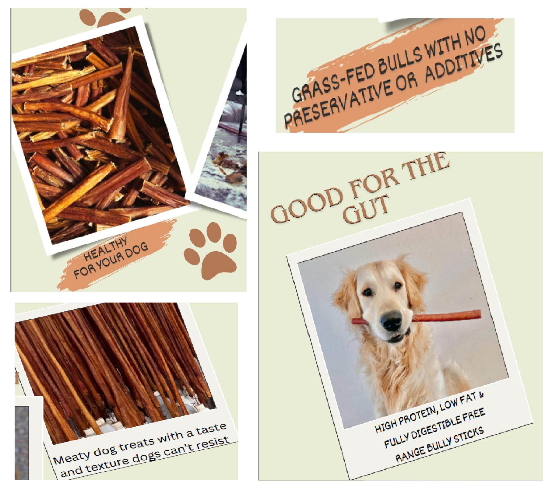 ELITE TREAT Natural Odor Bully Sticks for Dogs,Healthy Long Lasting Pizzle Chews (6 Inch, 24 Pack),All Natural,Free Range 100% Grass-Fed Beef,Grain-Free (Medium/Thin)