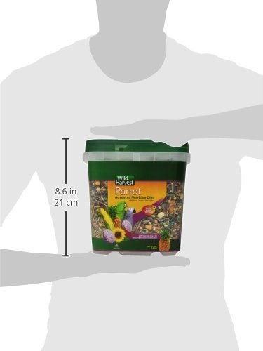 Wild Harvest WH-83542 Wild Harvest Advanced Nutrition Diet for Parrots, 4-Pound (Packaging May Vary)