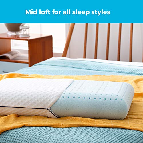 LINENSPA Pillow β Ventilated Gel Pillows Queen size β Memory Foam Pillows for Neck Support β Great for Side, Back, and Stomach Sleepers β Queen Size Pillows,Blue,white