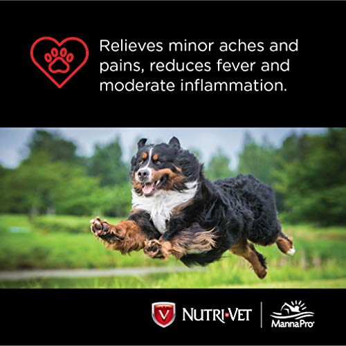 Nutri-Vet Aspirin for Dogs | Medium to Large Dogs | 300mg | 75 count