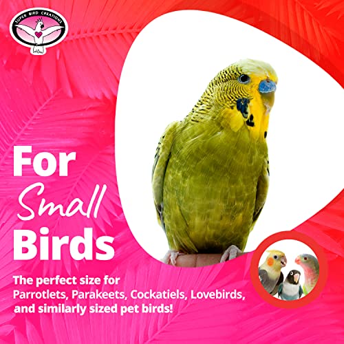 Super Bird Creations SB323 Small Bird Bungee Bird Toy, Small Bird Size, 1/2" diameter x 52"