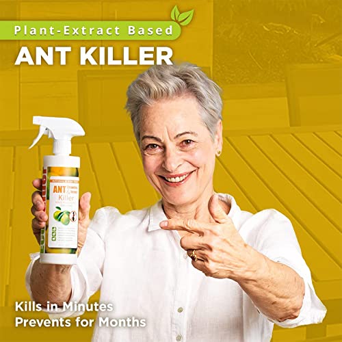 EcoVenger by EcoRaider Ant Killer & Crawling Insect Killer (Citrus Scent) 16oz, Kills Fast, Also Kills Spiders, Centipedes & More, Repels with Residual, Natural & Non-Toxic, Children & Pets Safe