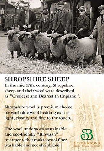 Sleep & Beyond 54 by 76-Inch Washable Wool Mattress Topper, Full, Natural