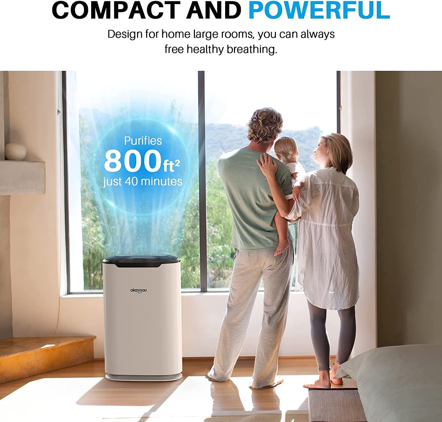Okaysou AirMax 8L Air Purifier Replacement Active Carbon & Cold Catalyst Filter B