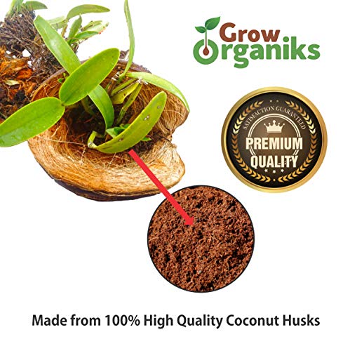 Coco Coir Brick Pack of 4 (1.4 LB/Brick) | Expands to 40L | Coco Coir Fibre Reptile Substrate | Garden Soil for Plants | 100% Organic Compressed Coconut Coir Bricks, Coconut Husk for Planting