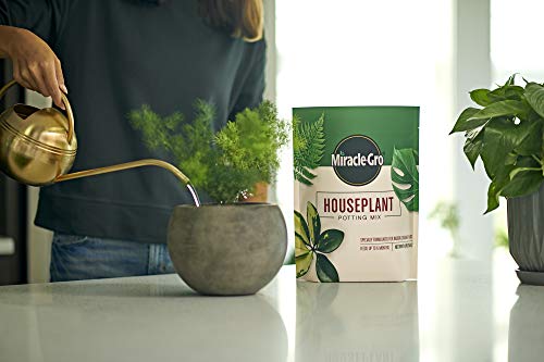 Miracle-Gro Houseplant Potting Mix: Fertilized, Perlite Soil for Indoor Gardening, Designed to Be Less Prone to Gnats, 4 qt.